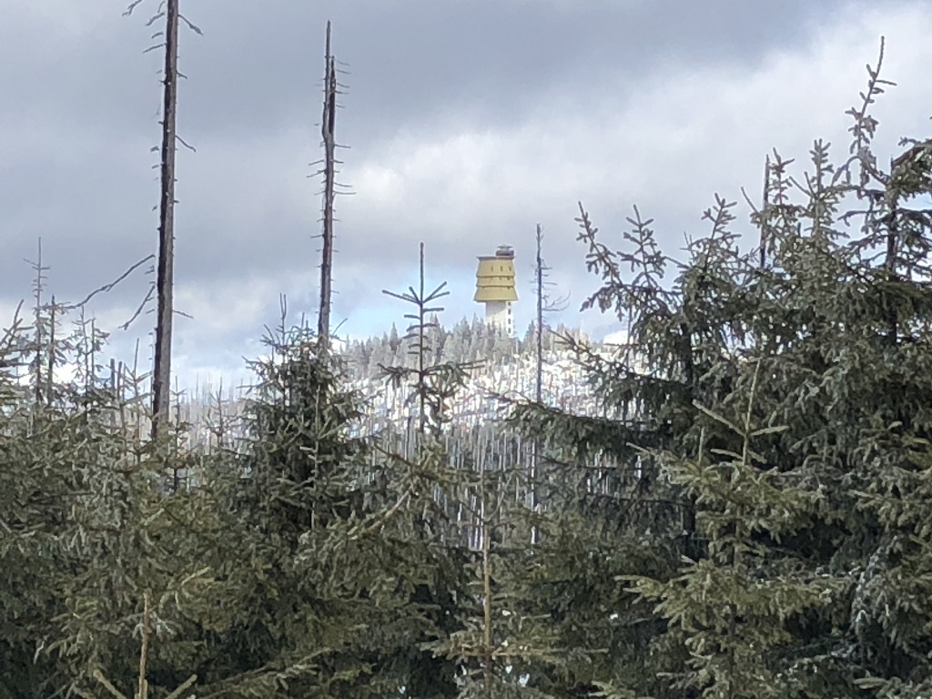 Schneeschuhwanderung zum Polednik (1315 m) - Alpenverein Sulzbach ...